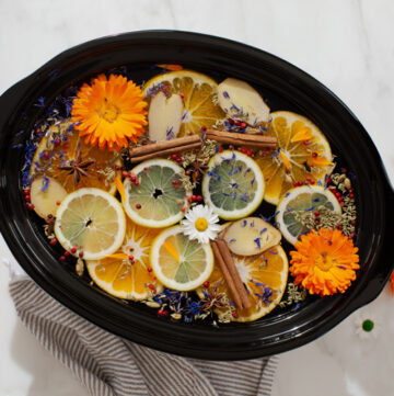 Fall crockpot potpourri - Ascension Kitchen